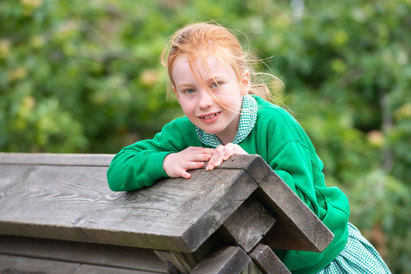 Home - Hargrave Park School